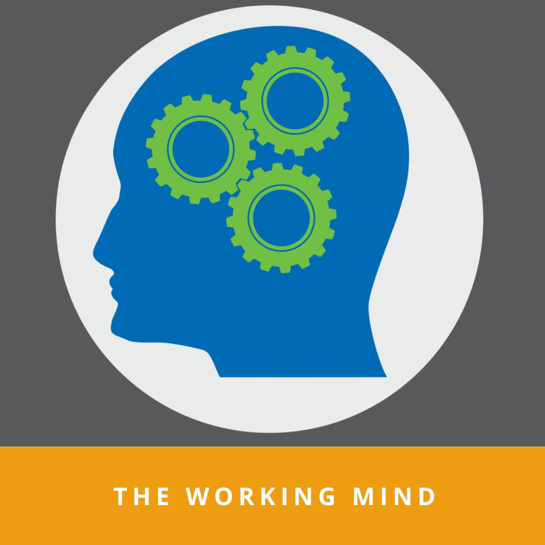 CAEH Training and Technical Assistance - The Working Mind
