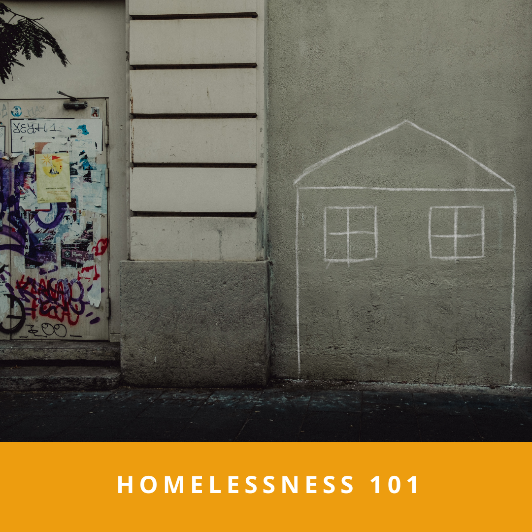 CAEH Training and Technical Assistance - Homelessness 101