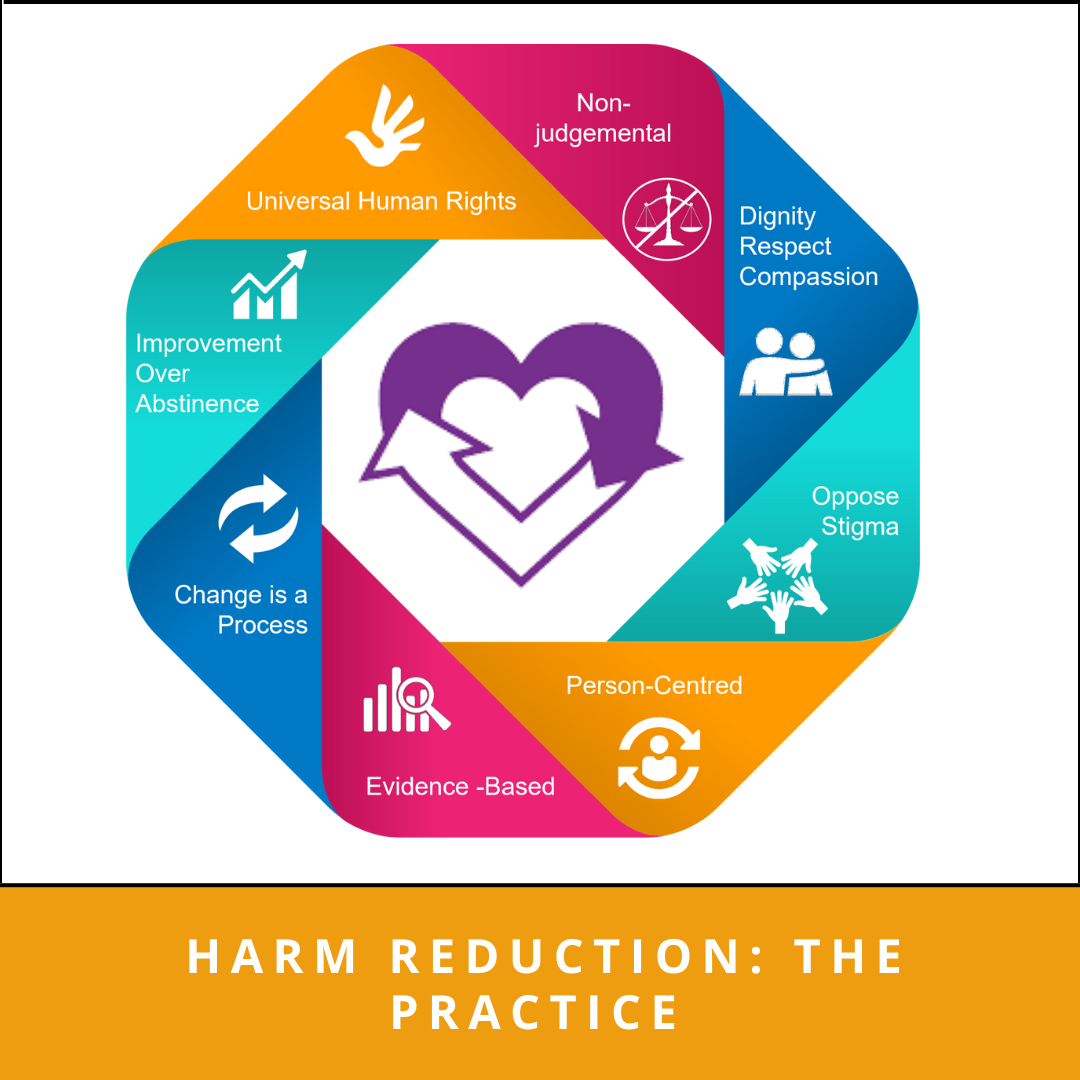 CAEH Training and Technical Assistance - Harm Reduction: The Practice